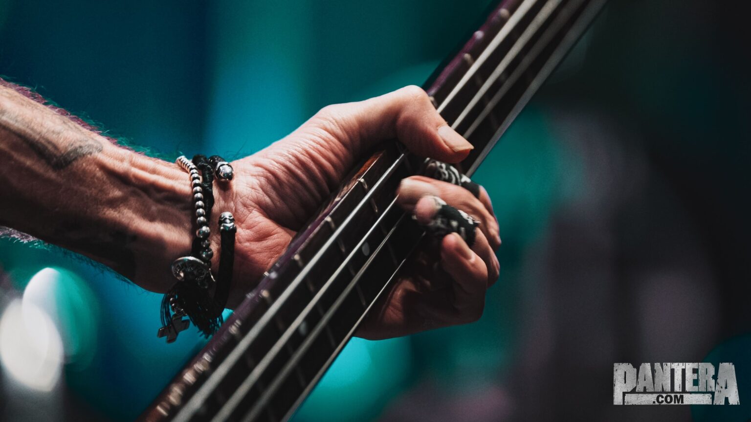 News – Pantera