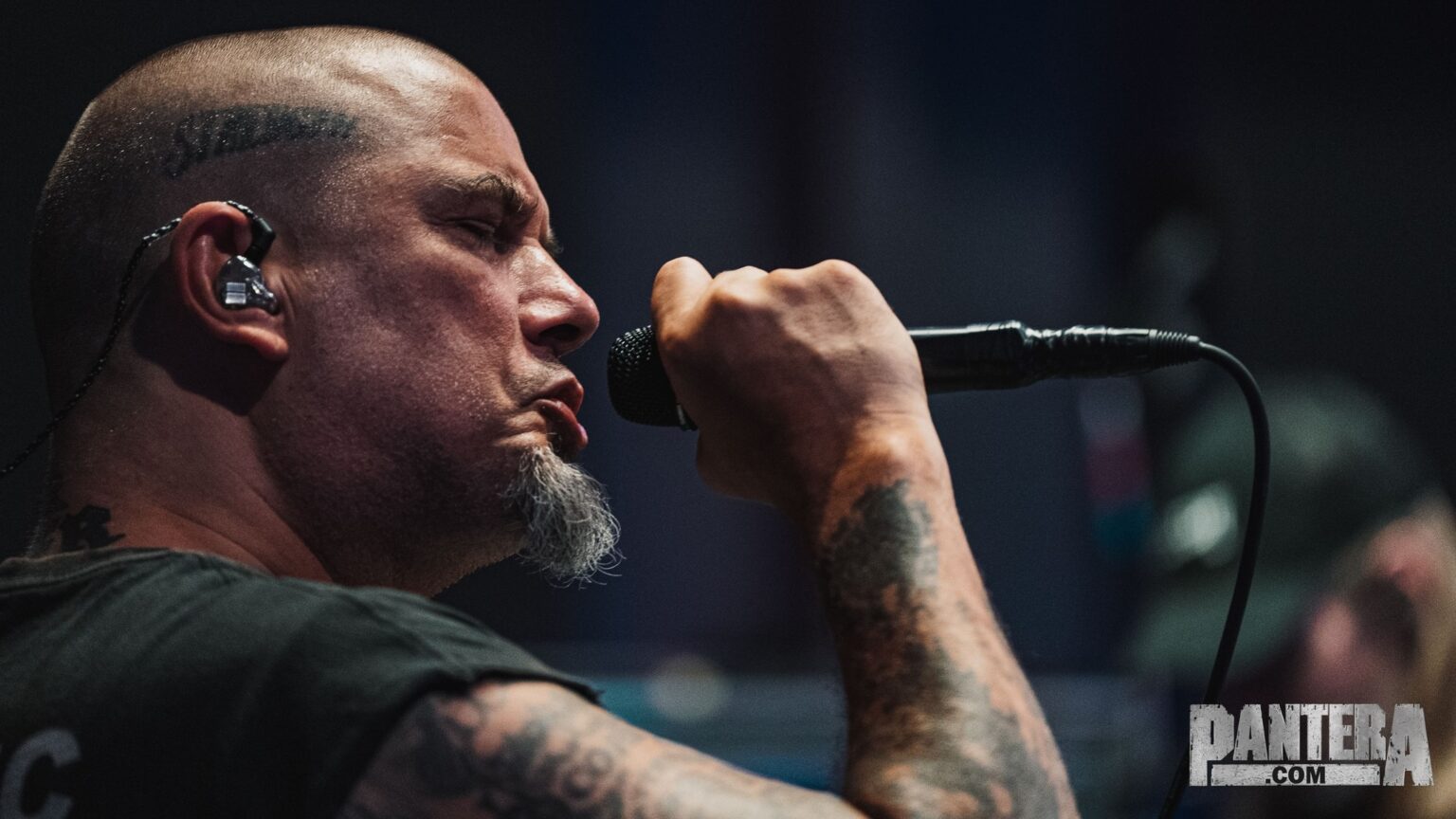News – Pantera